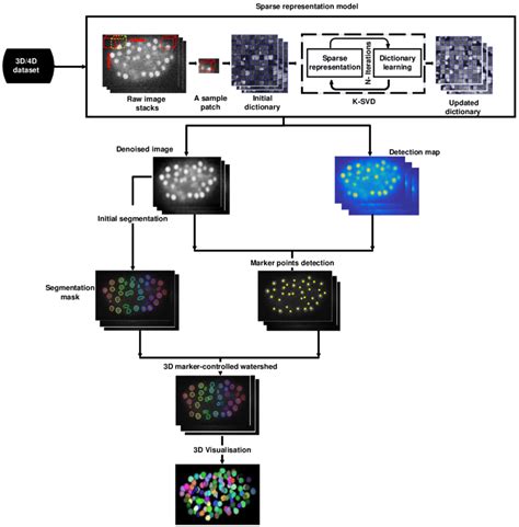 1 General Representation Of The Proposed Framework For Denoising And