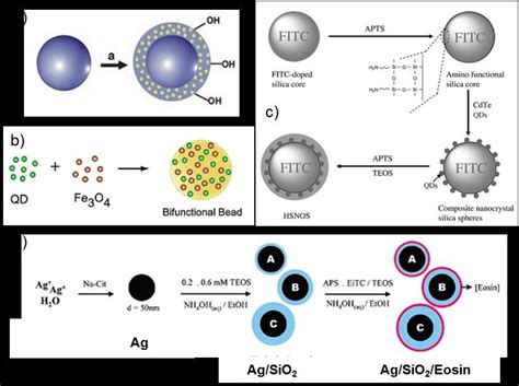 25 Various Silica Based Fluorescent Nanomaterials A Core Shell Silica Download Scientific