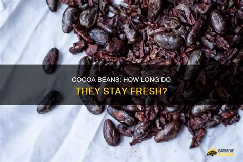 Cocoa Beans How Long Do They Stay Fresh Shungrill