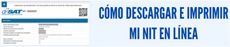 Cómo Imprimir Mi Nit En Línea Guía 2026