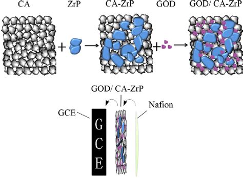 Schematic Sketch Of The Novel Electrode Structure Download Scientific Diagram