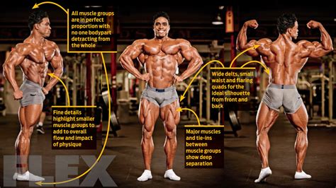Build A Classic Physique Muscle And Fitness