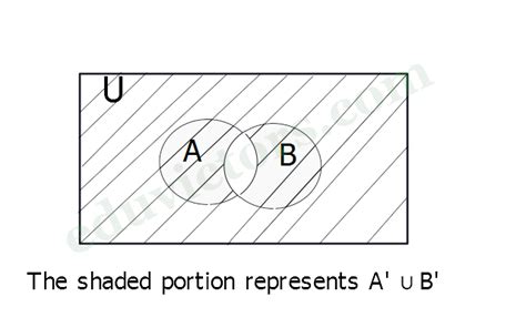 cbse papers questions answers mcq cbse class 11 maths sets