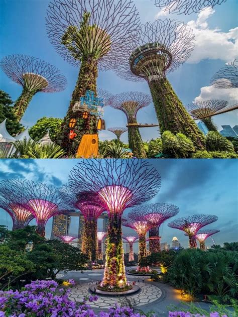 新加坡滨海湾花园游玩攻略 花瓣网