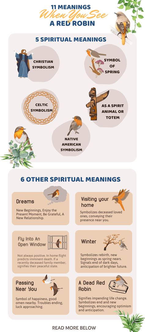 What Does It Mean When You See A Red Robin 11 Spiritual Meanings