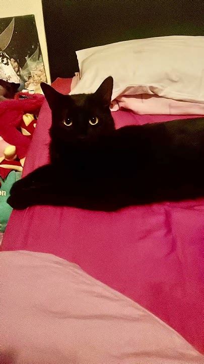 Stap Growing Up Youtube