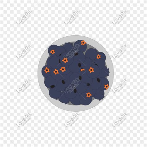 블루 베리 벡터 일러스트 Png Png 일러스트 무료 다운로드 Lovepik