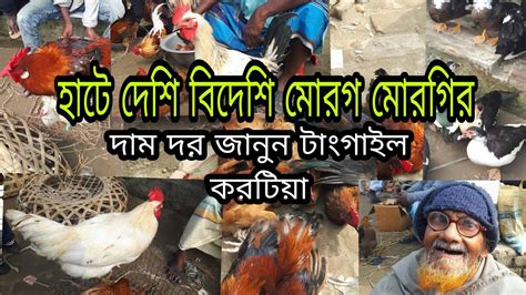 হাটে দেশি বিদেশি মুরগ মুরগির দাম জানুন টাংগাইল করটিয়া বৃহস্পতিবার Youtube