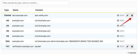 Record Editor Dnsimple Help