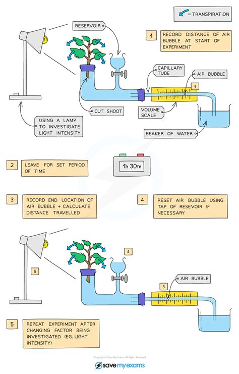 Investigating Temperature And Wind Speed Cambridge Cie Igcse Co Ordinated Sciences Double