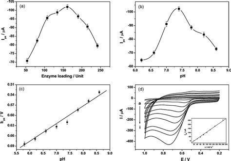 Effect Of Enzyme Loading A Ph B And C And Scan Rate D On The Download Scientific Diagram