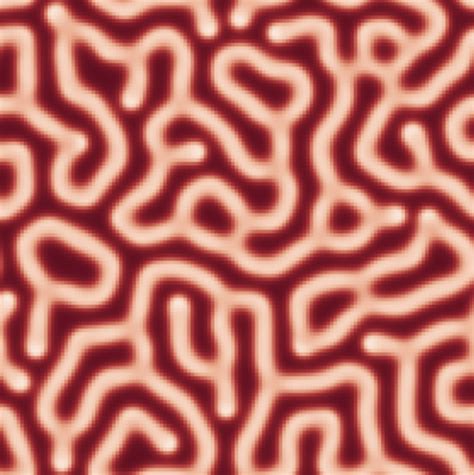 Complexity Explorables Hopfed Turingles Complexity Explorables Hopfed Turingles