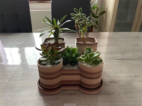 Rectangular Planter With Five Slots By Fred130825400 Makerworld