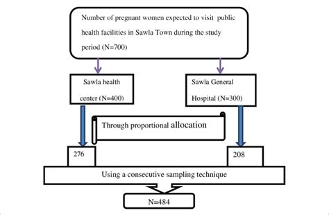 A Figure Describing Sampling Techniques And Procedures Used To Select A Download Scientific