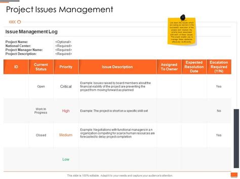 Project Planning And Governance Project Issues Management Ppt Styles