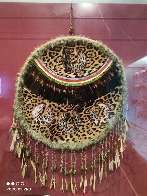 Chimalli Del Nahuatl Mi Sangre Es Azteca Y Maya