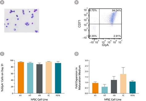 Stemdiff™ Erythroid Kit Stemcell Technologies