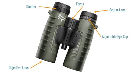 How To Use Binoculars Helpful Tips In The Field Optics Mag