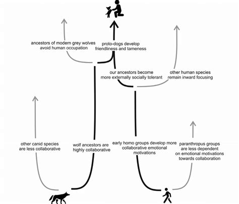 10 Illustration Showing Evolutionary Convergence Of Elements Of Human Download Scientific