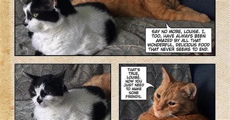 Great Sentiment But With One Small Problem Album On Imgur