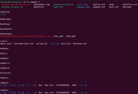 Linux Ls Commands