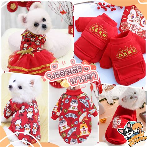 D397e1587769c91b98eaef5f61622874