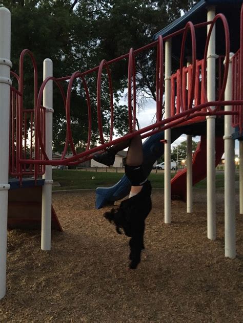 Playground P Playground