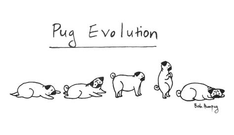Bah Humpug Pug Evolution