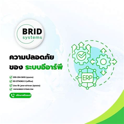 ความปลอดภัยของระบบอีอาร์พี Brid Systems