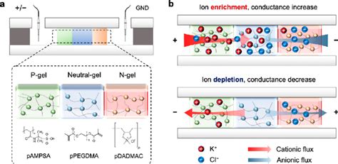 Schematics Of The Iontronic Bipolar Memristor Structure And Operation