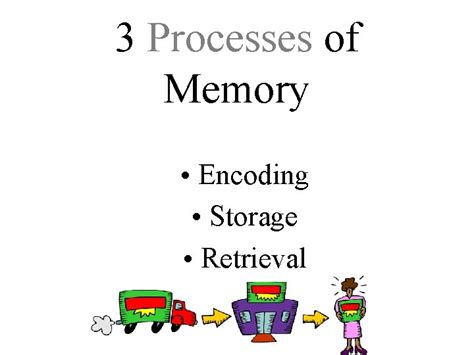 cognition 3 processes of memory encoding storage retrieval