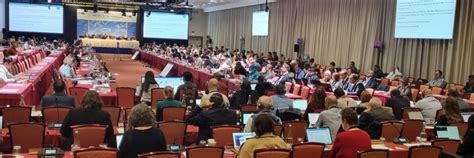 Another Missed Opportunity For Iccat