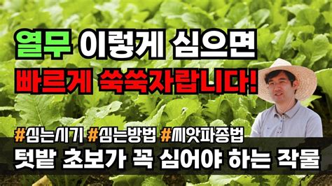 열무심는시기 심는방법 씨앗 파종법 빨리자라는 채소 Youtube