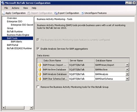 Biztalk Custom Configuration Bam Tools Tab Screenpng Sandro Pereira
