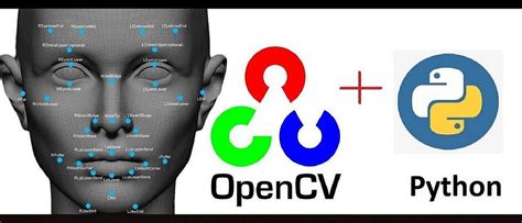 9 Must Know Image Processing Techniques In Python Opencv By Meng Li Top Python Libraries