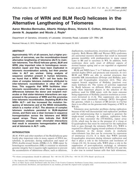 Pdf The Roles Of Wrn And Blm Recq Helicases In The Alternative