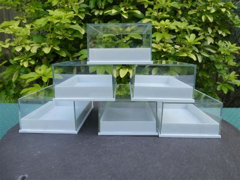 12 Perspex Clear Lid Specimen Display Boxes Shell Minerals Gems Crystals Fossil Geology