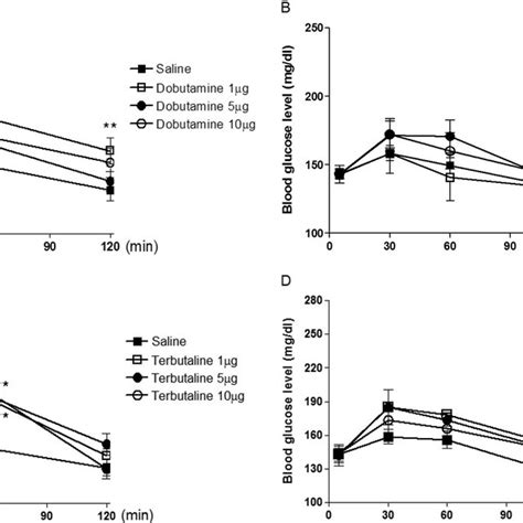Effects Of β 1 And β 2 Adrenergic Receptor Agonists And Antagonists Download Scientific Diagram