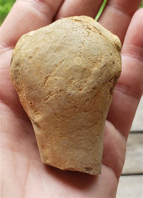 Fossilized Bone Rwhatsthisrock