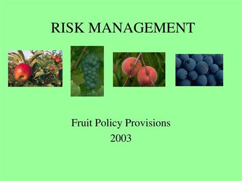 PPT RISK MANAGEMENT PowerPoint Presentation Free Download ID 474865