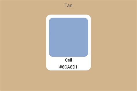 All You Need To Know About Tan Color An Ultimate Guide