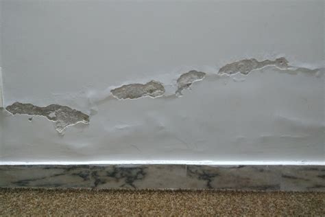 Betta Damp Stop Bondall