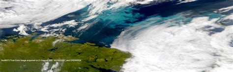 Coccolithophores In The Barents Sea