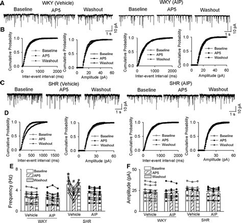 Camkii Increases Presynaptic Nmdar Activity Of Spinally Projecting Pvn