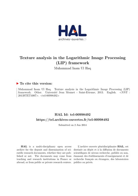 pdf texture analysis in the logarithmic image processing lip framework