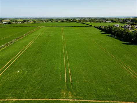 The Foundational Science Work We Do Now Is Essential To Scale Enhanced Weathering Maurice