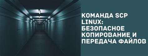 Команда Scp Linux безопасное копирование и передача файлов