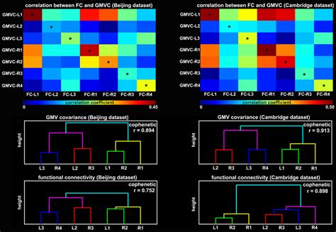 Upper Panels Spatial Correlation Between Functional Connectivity Fc
