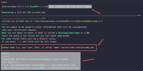 Setup Openvpn Server In Ec2 For Secure Aws Access