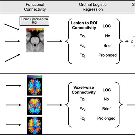 Schematic Depiction Of Lesion Network Association Mapping In The Top